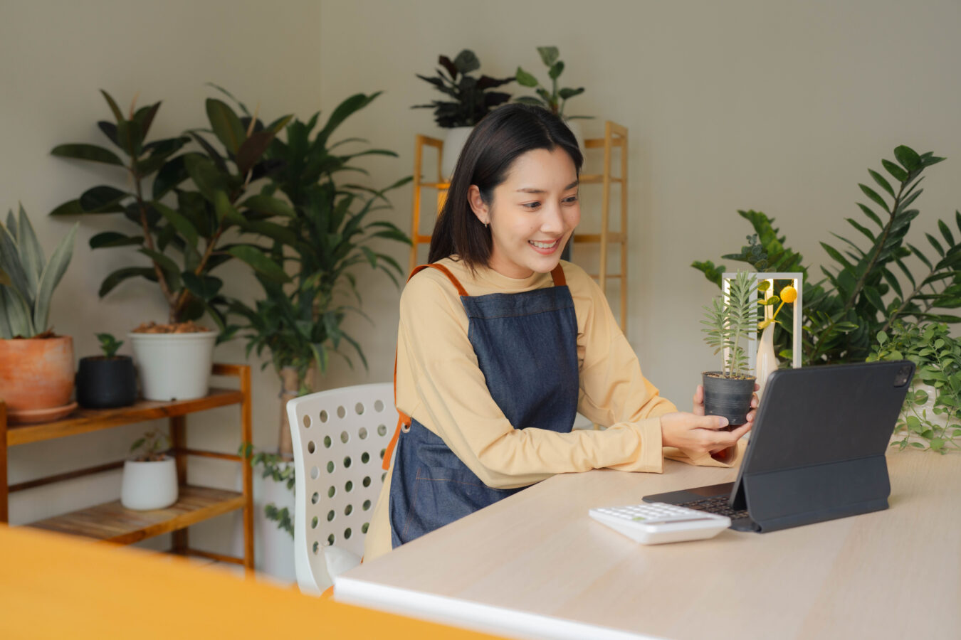 Customer Home - Finsure Loans